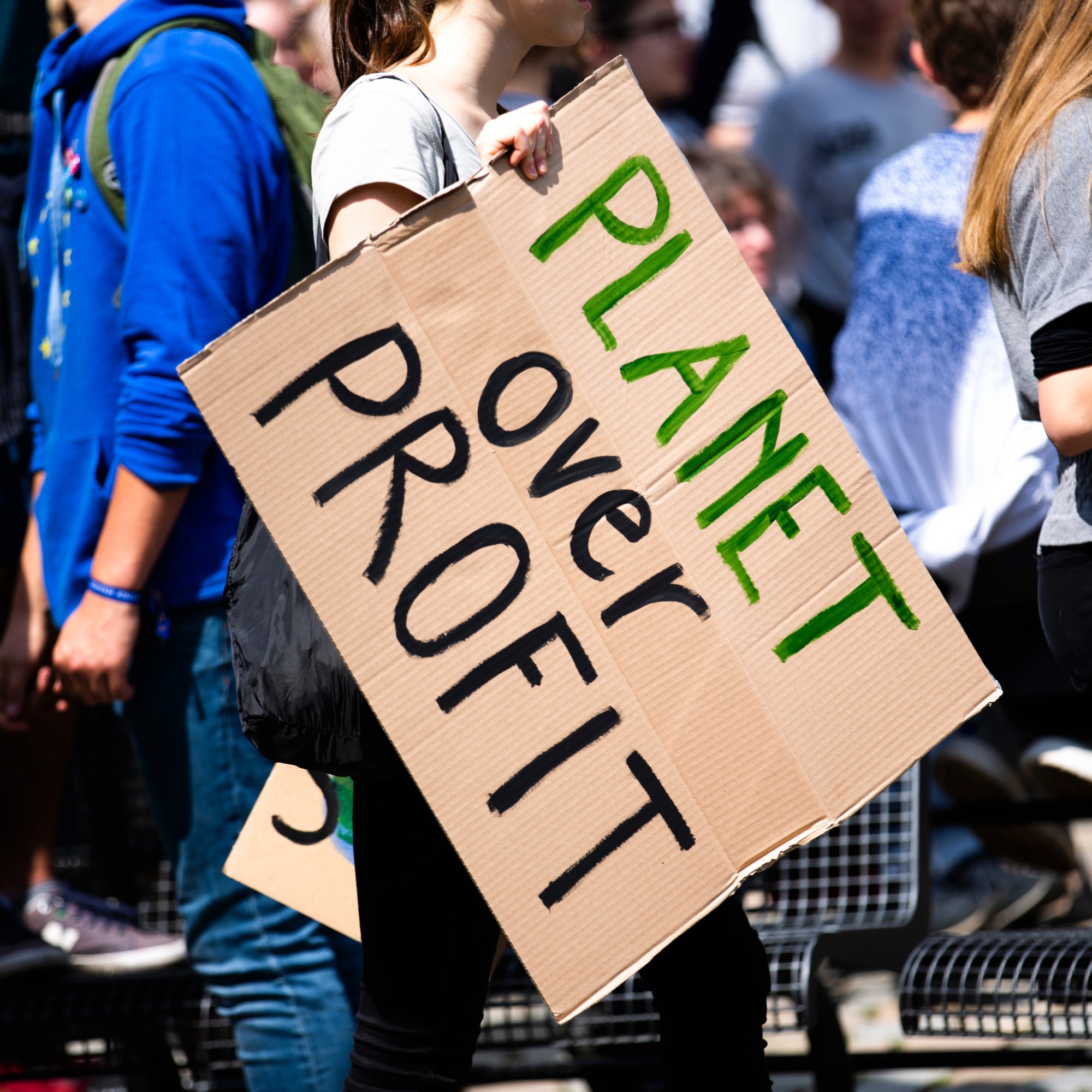 Libertarian vs. Green: Differences in Political Parties | GoodParty.org