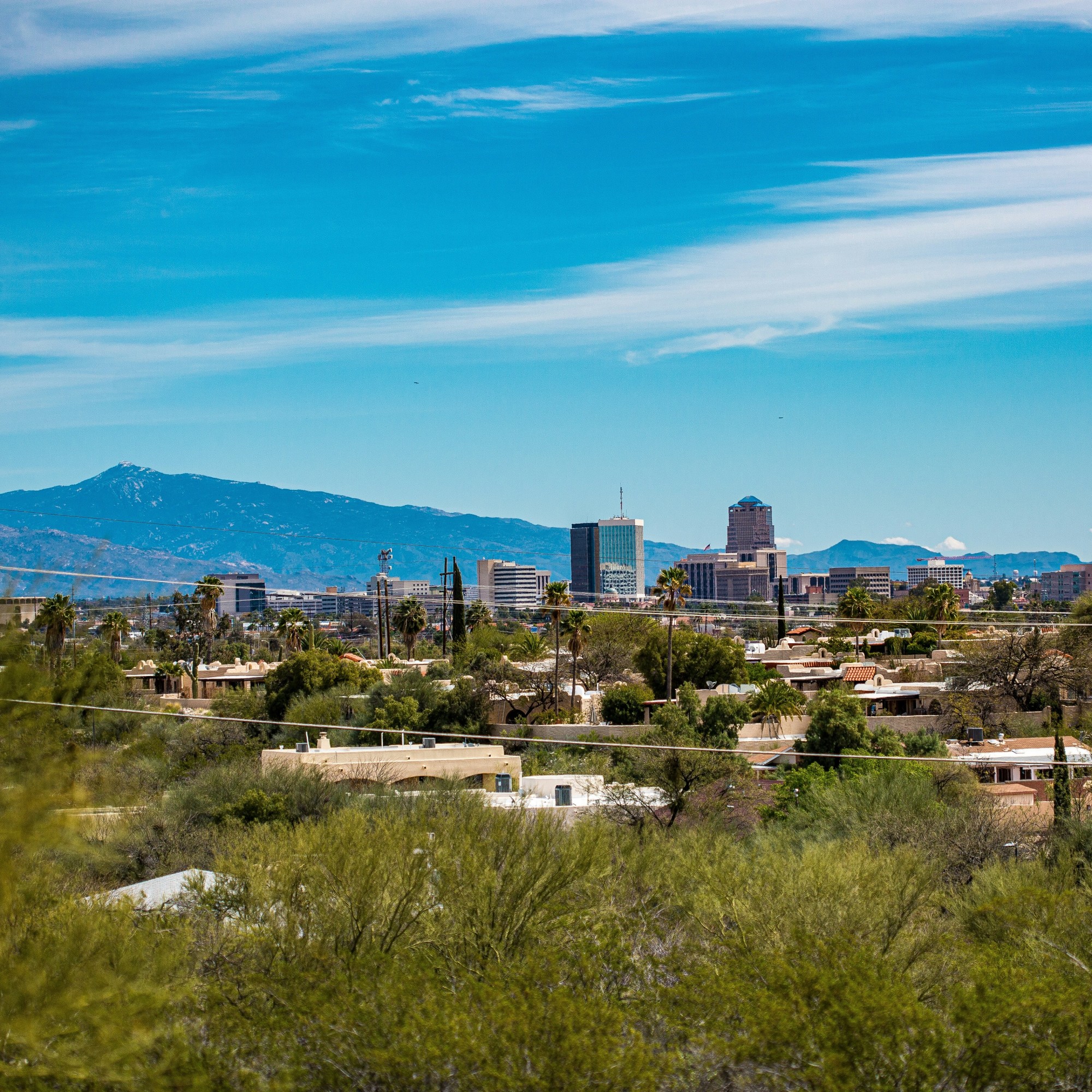 Top 6 Issues in Arizona in 2024: An Overview | GoodParty.org