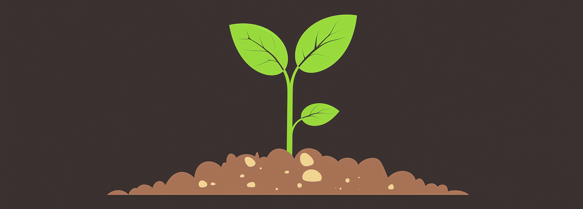 What Is the Monotonicity Criterion in Voting Systems? | GoodParty.org