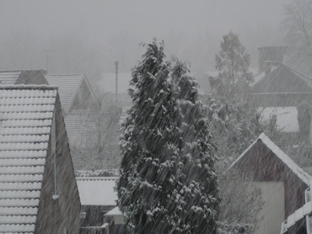 De sneeuwchaos van 25 november 2005: een terugblik | Weerverteller