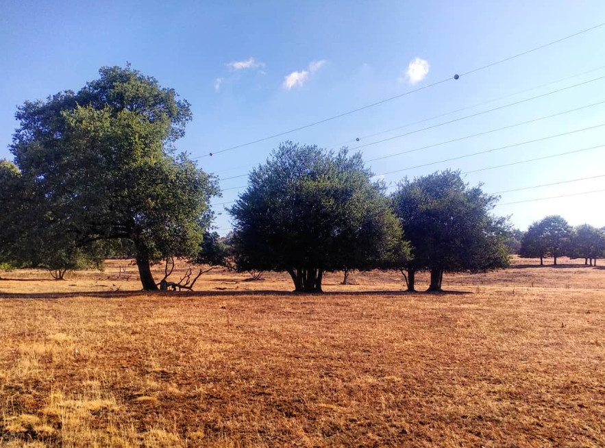 Temperatuur aarde laatste 2 jaar onverklaarbaar snel omhoog | Weerverteller