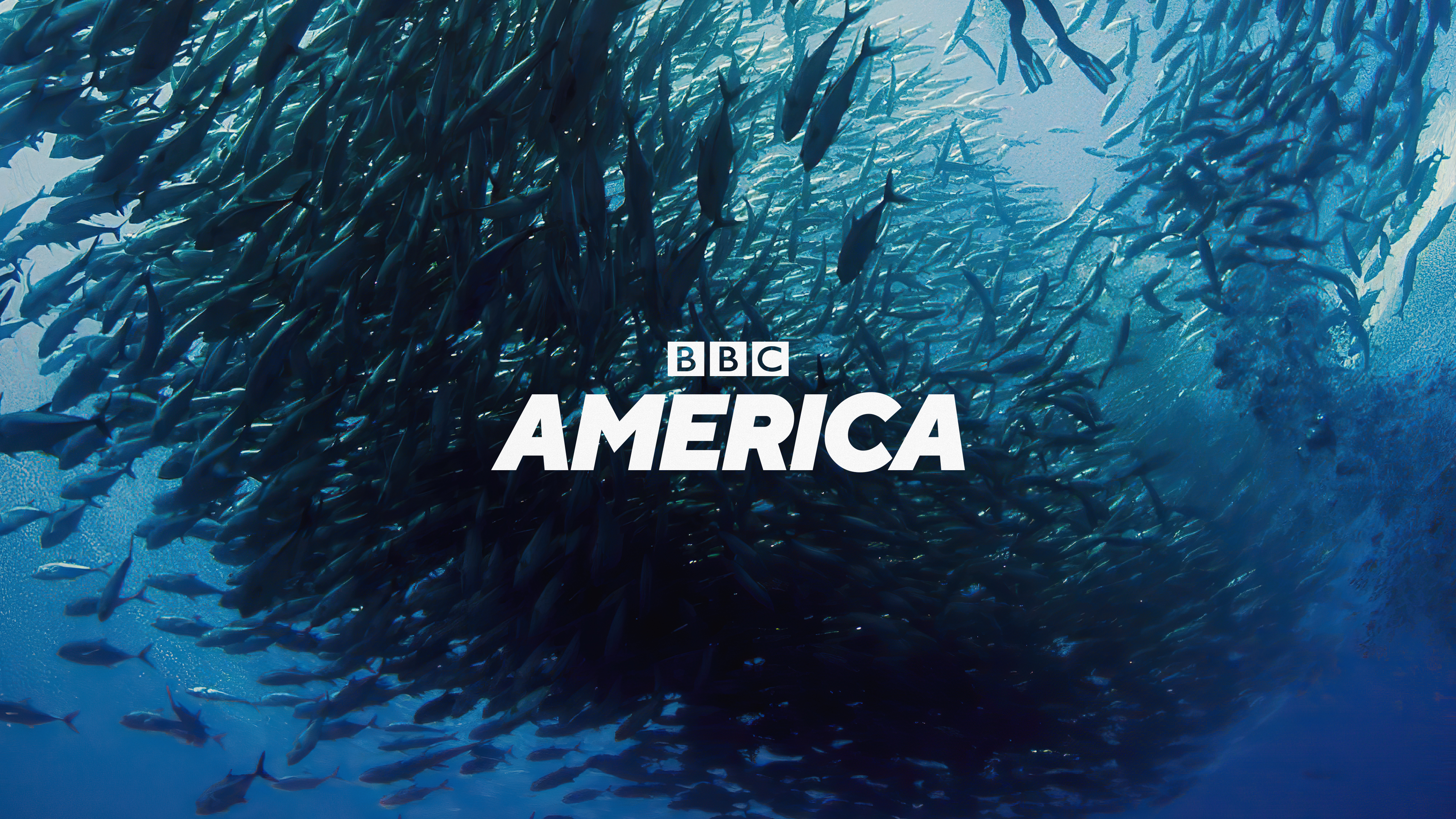 BIGSTAR - BBC America Rebrand