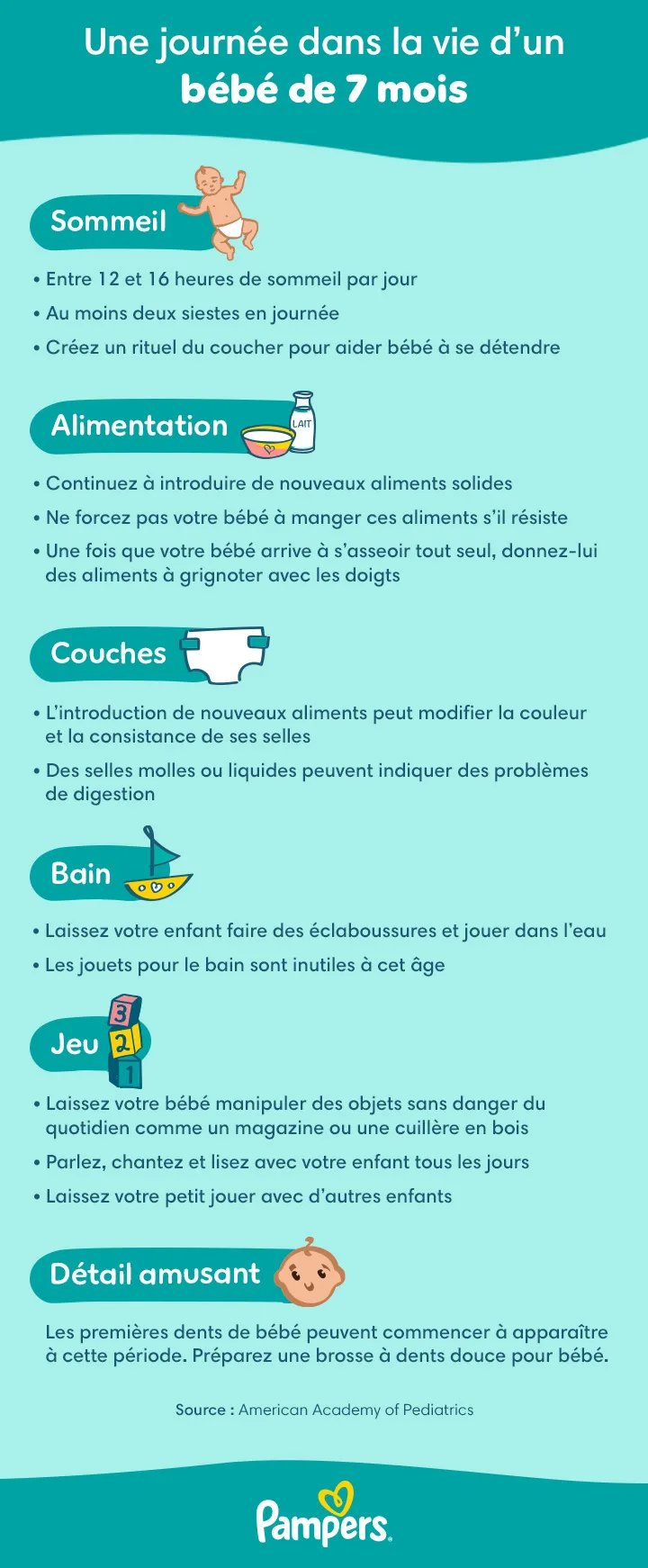 Bébé à 7 mois : développement et croissance | Pampers FR