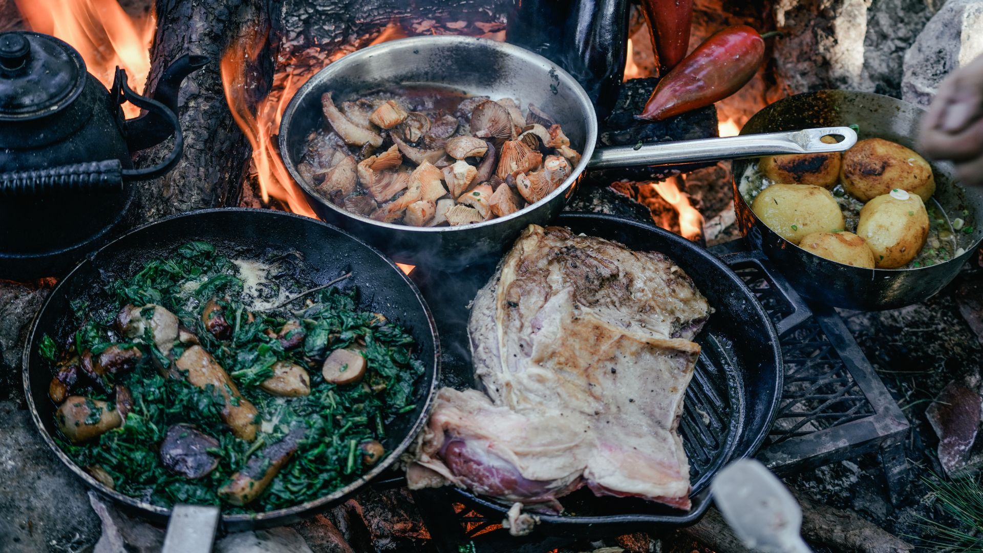 What Is Cooking? The Science Behind Food Transformation (Interactive ...