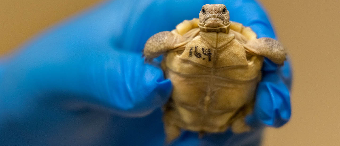 $8 million partnership with NSF funds six new projects | Allen Family ...