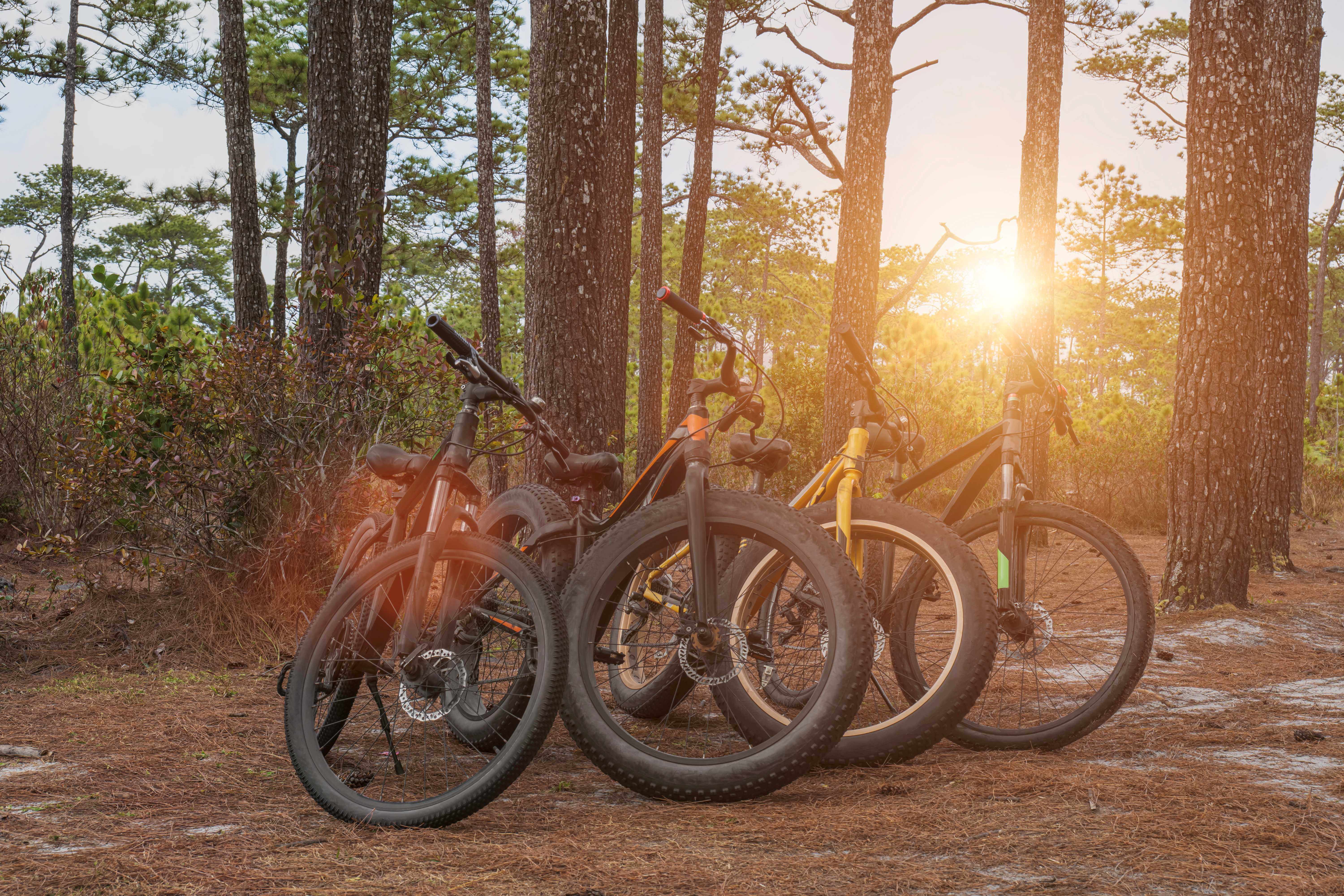 7 conseils pour se lancer dans le VTT - Campsider