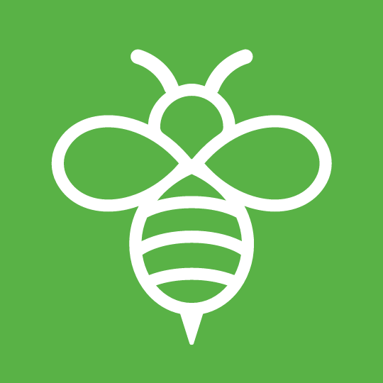 Showcase 2024 app idea - Pollen Pal | Apps For Good