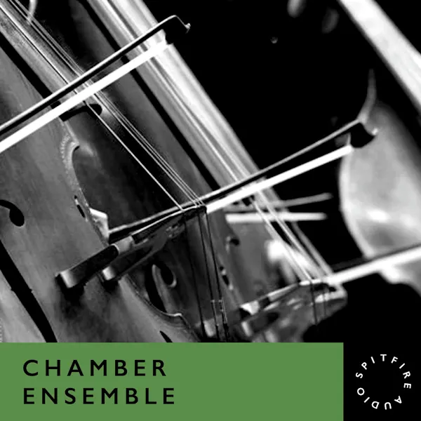 Chamber Ensemble: Strings Preset Pack | Splice INSTRUMENT