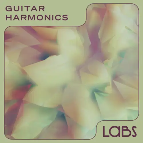 Unplugged: Guitar Preset Pack | Splice INSTRUMENT
