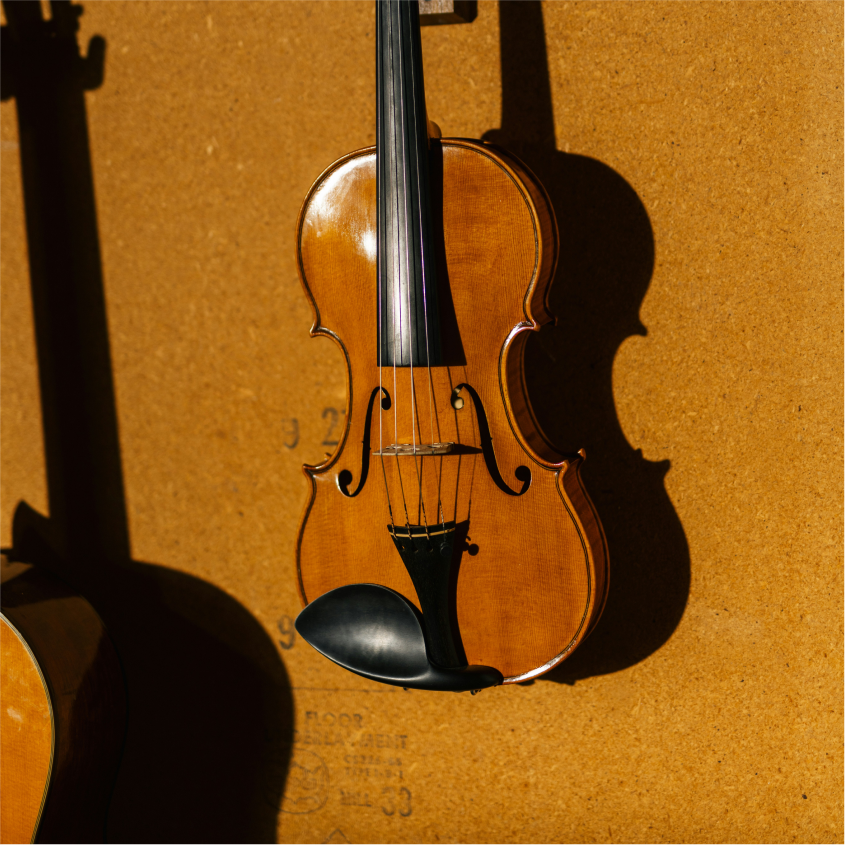 Symphonic Violins & Violas — LABS