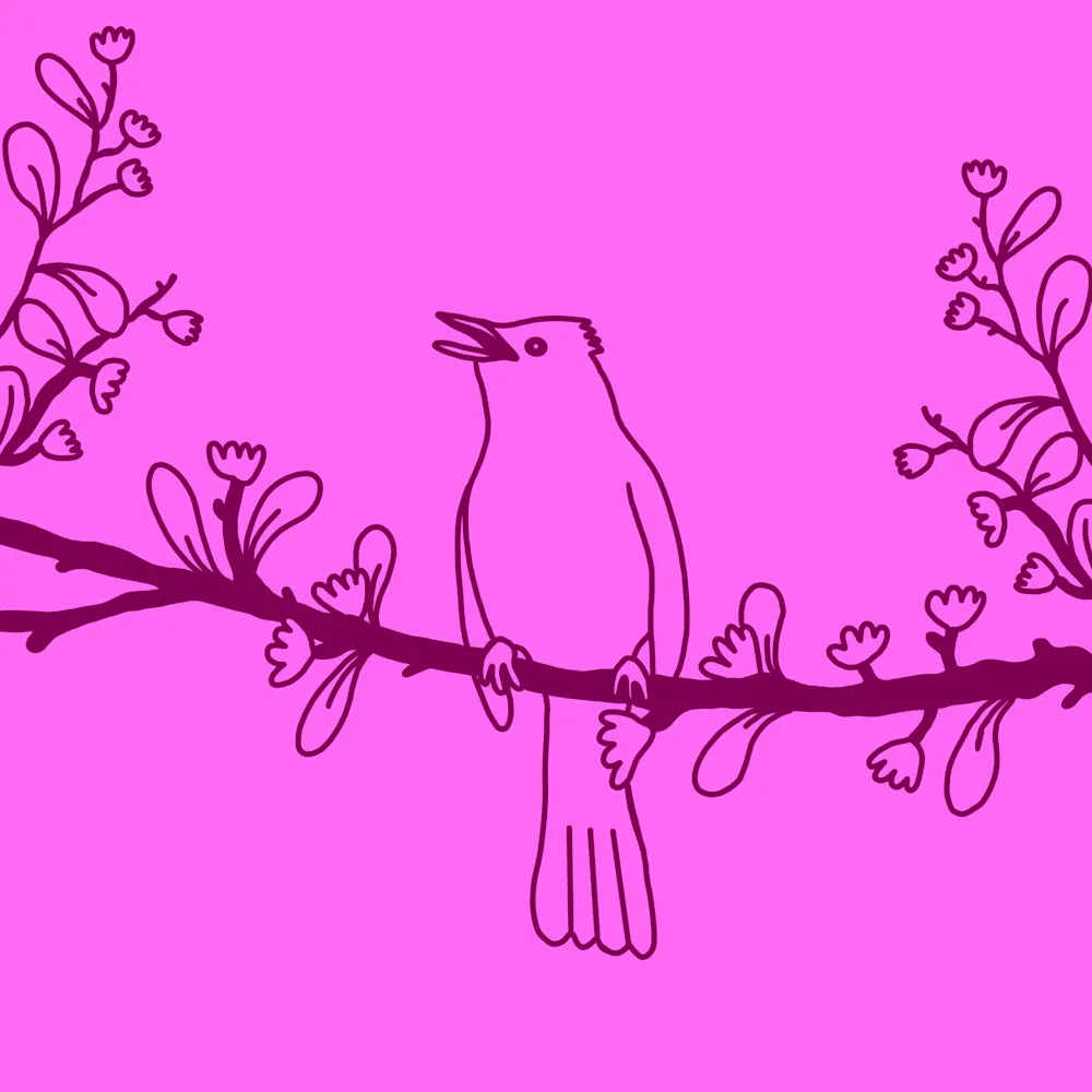 OPIA Wandering — LABS