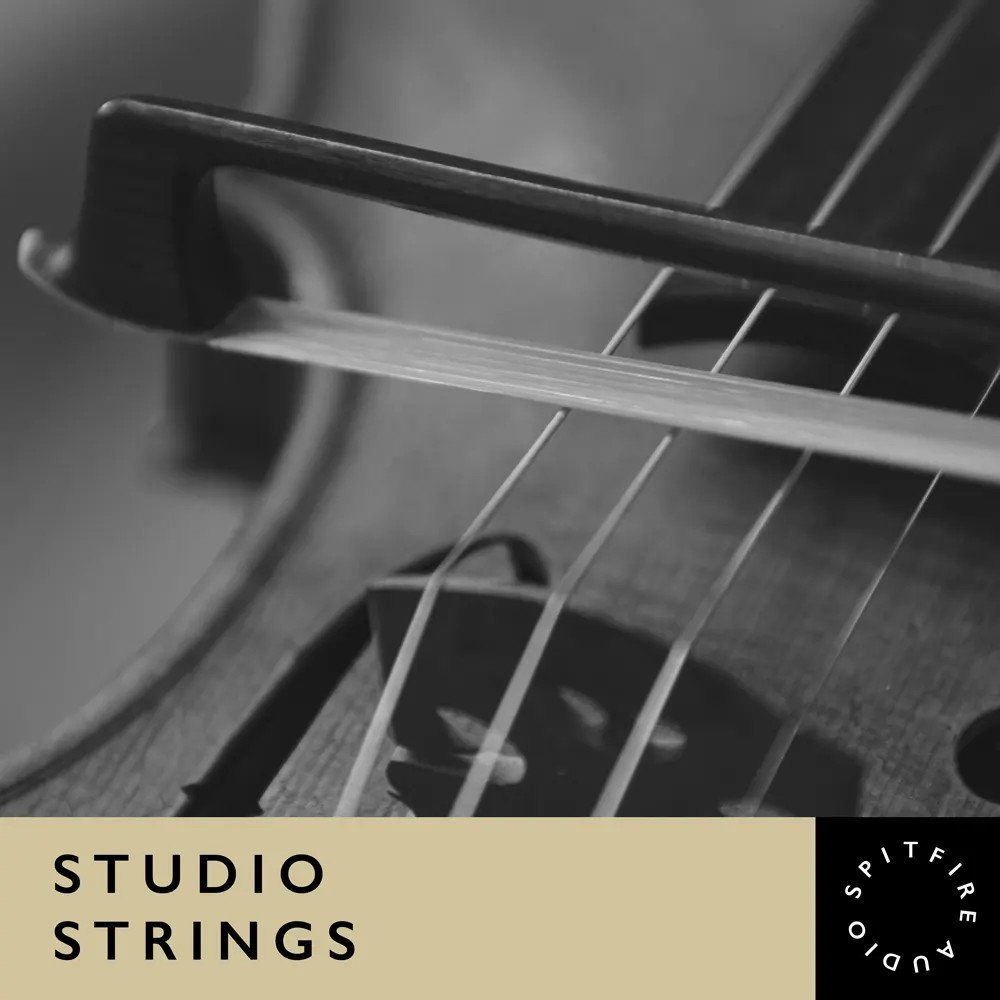 4STRINGSZ: Strings Preset Pack | Splice INSTRUMENT