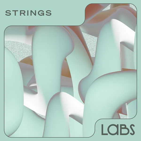 Strings: Free Strings Preset Pack | Splice INSTRUMENT