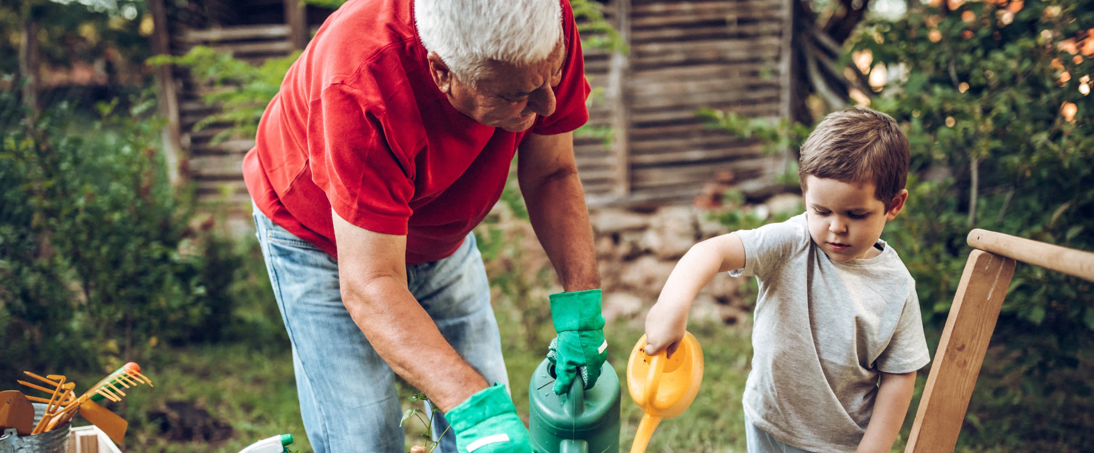 Previdenza: Vera Vita
