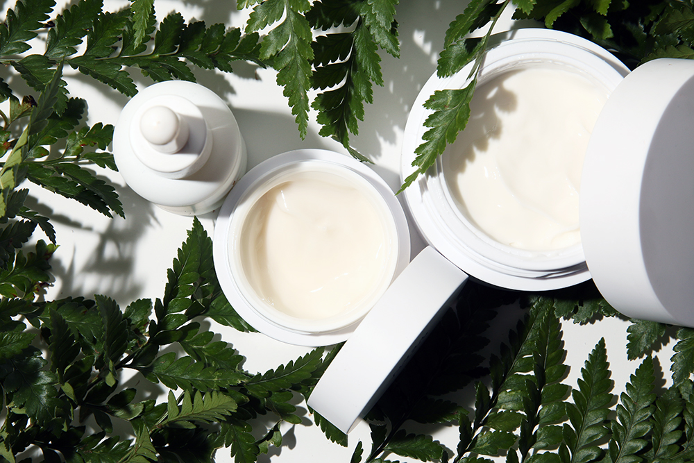 Ingredient To Know: Fern Skincare - Into The Gloss | Into The Gloss