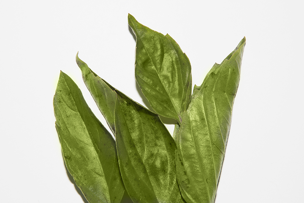 Cool Off With These Mint Beauty Products - Into The Gloss | Into The Gloss