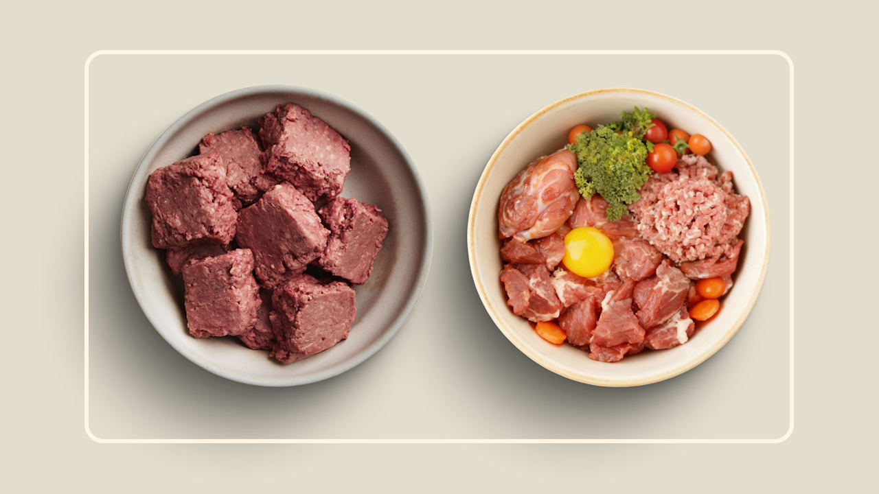 Homemade Raw Dog Food vs We Feed Raw: Convenience Wins
