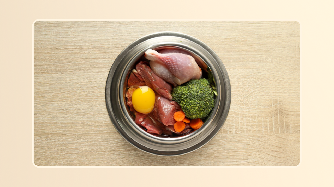 Is a Raw BARF Diet for Dogs the Best Feeding Model?