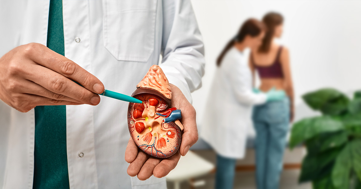 Types of autoimmune kidney diseases: What you need to know