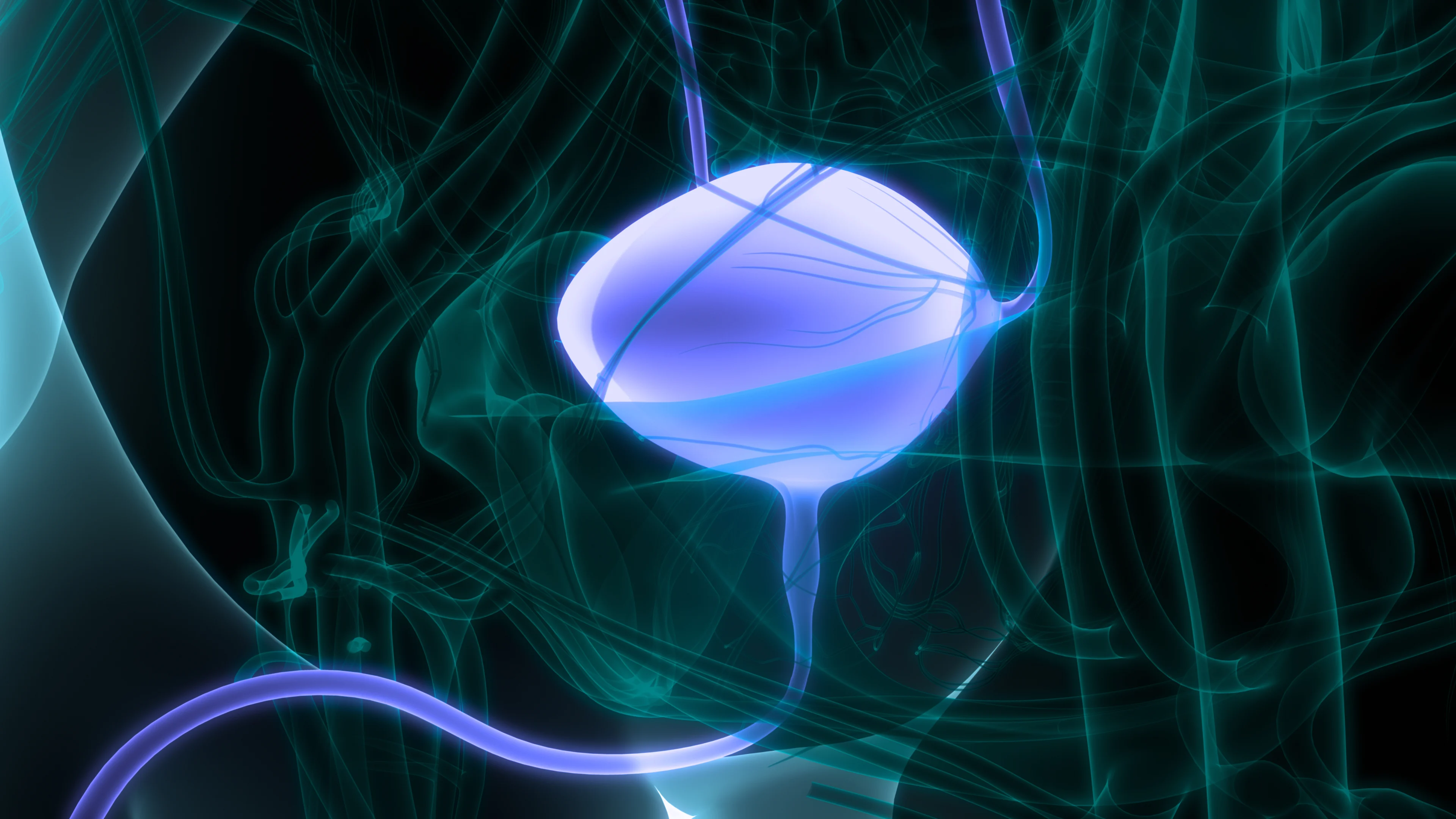 Understanding Different Types of Bladder Conditions