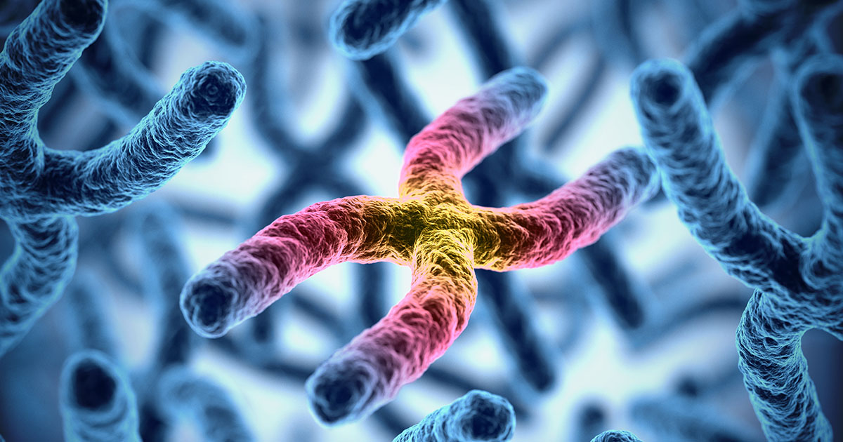 Understanding X-linked disorders