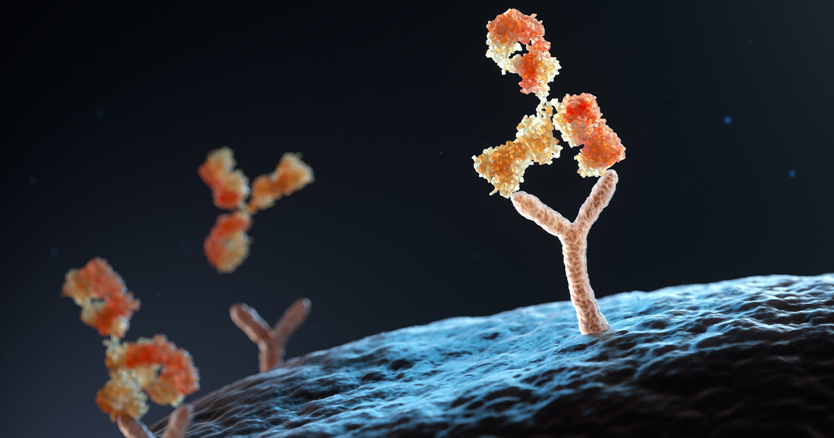 Lupus and ITP: Understanding their link and living with both disorders