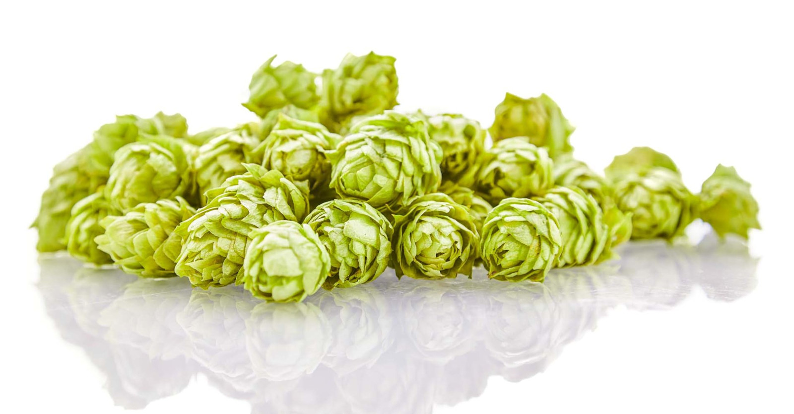 Striking Gold | Brewing Industry Guide