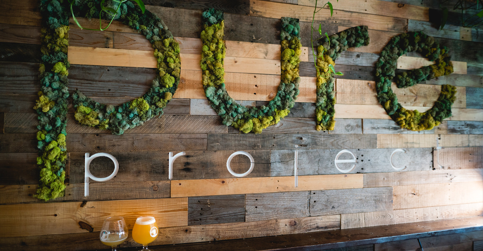 Case Study: Pure Project | Brewing Industry Guide