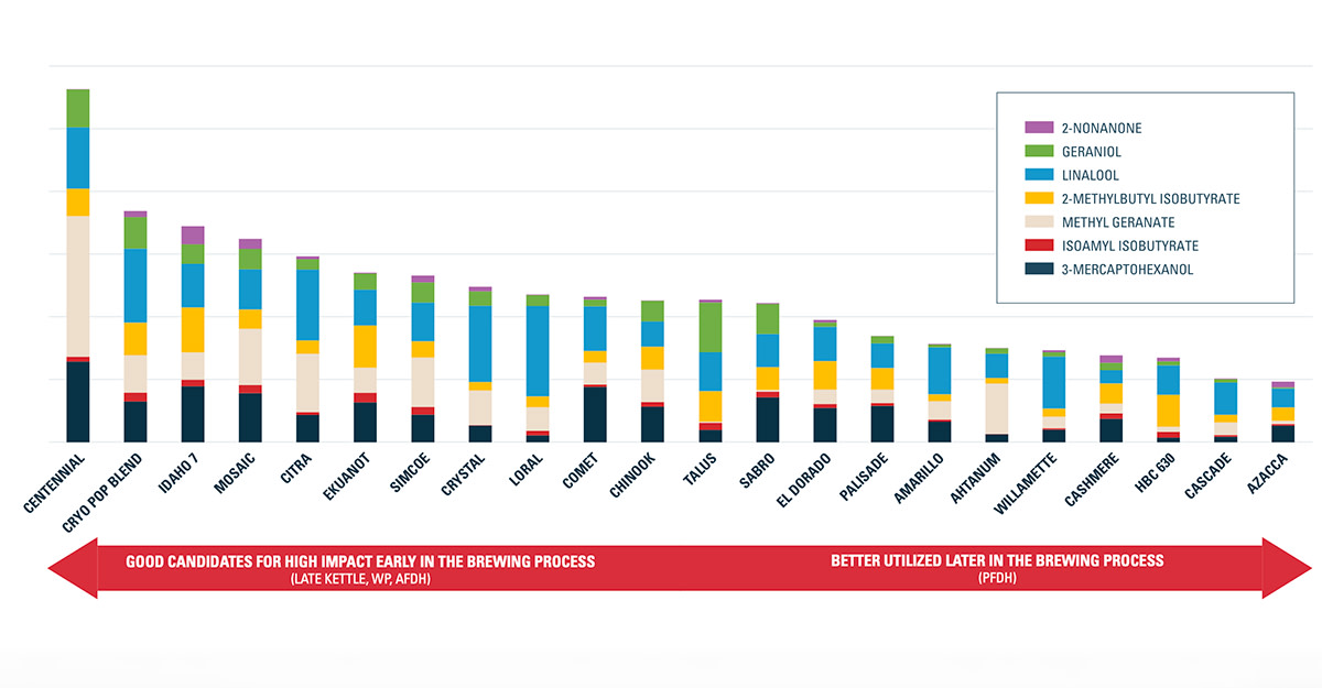 Hops Insider: Get to Know the Synergy of Survivables | Brewing Industry ...