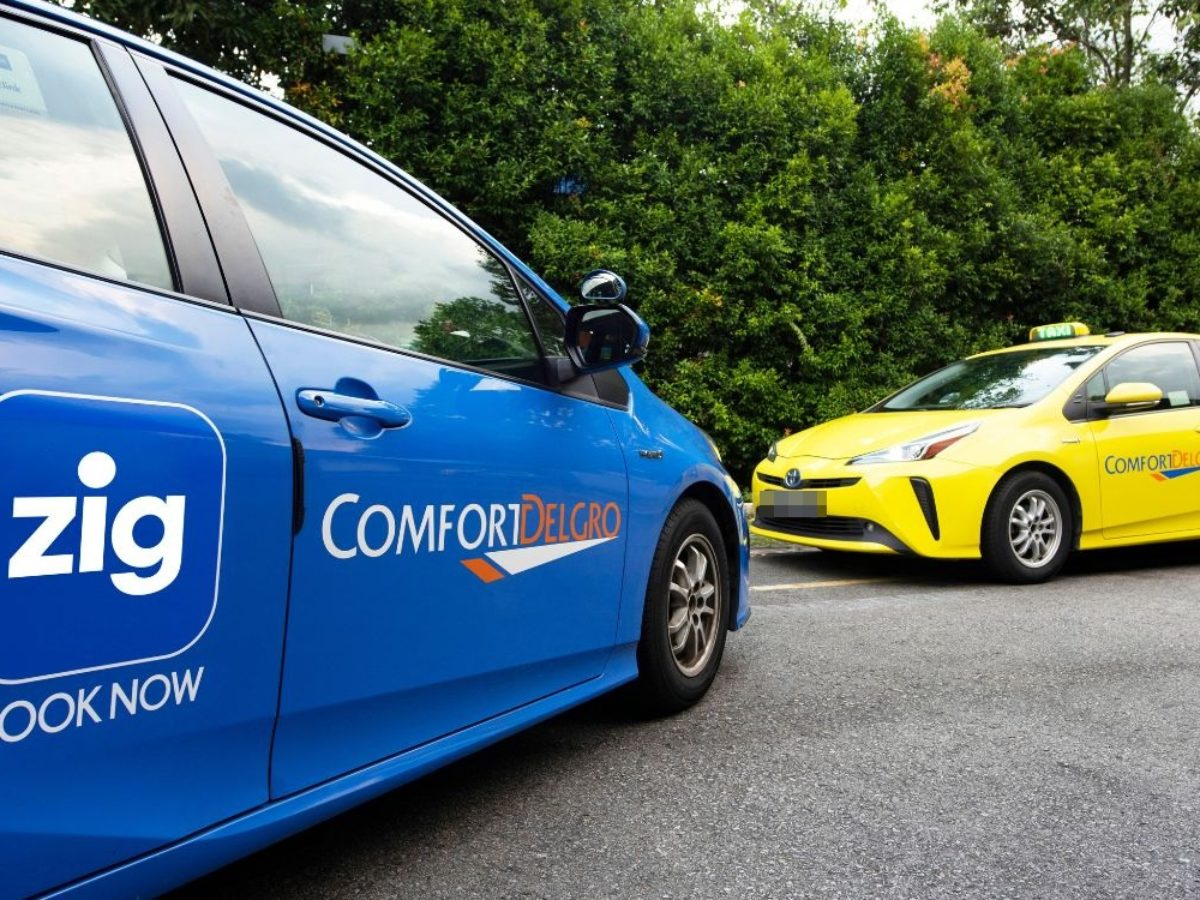 CDG Zig X Jewel Blooms: Magical Ride Deal!