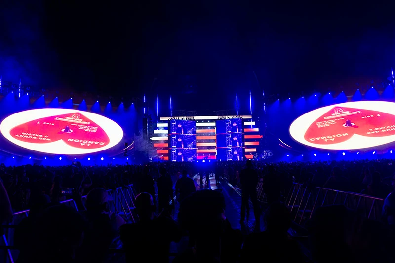 STURDY | Bad Bunny - PFKNR