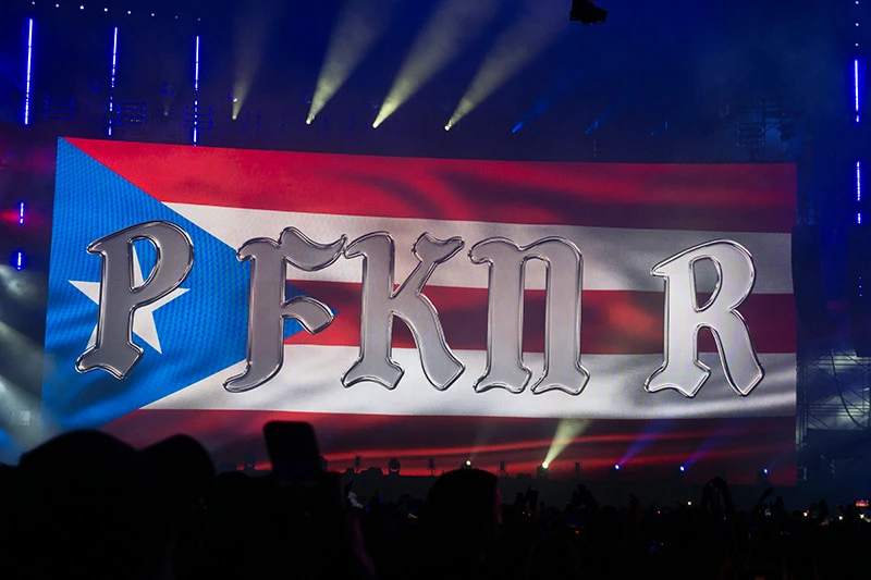 STURDY | Bad Bunny - PFKNR