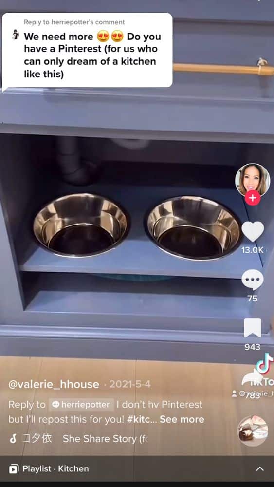 TikTok Made Me Buy It: 22 Custom Kitchen Ideas - NewHomeSource.com