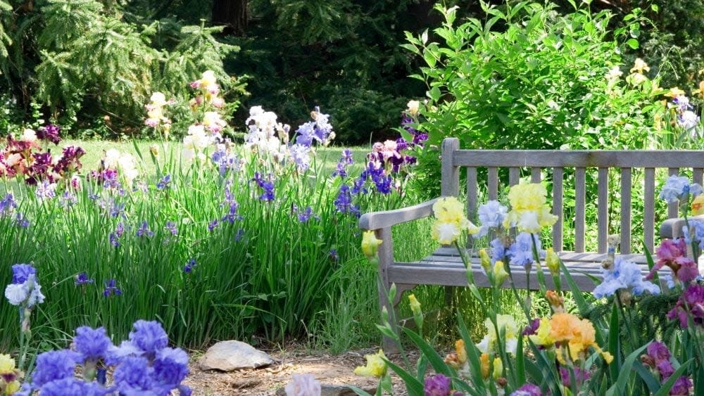 How to Make Your Spring Garden Grow - NewHomeSource.com