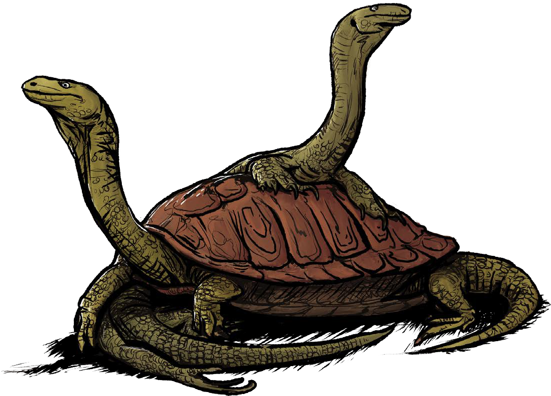 Half Turtle | Creatures | Zin Never Dies - There are no fairy tales here...