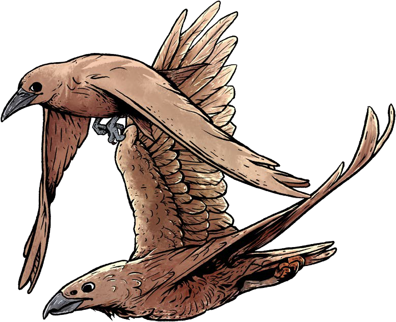 Deauk-Bird (Female) | Creatures | Zin Never Dies - There are no fairy ...