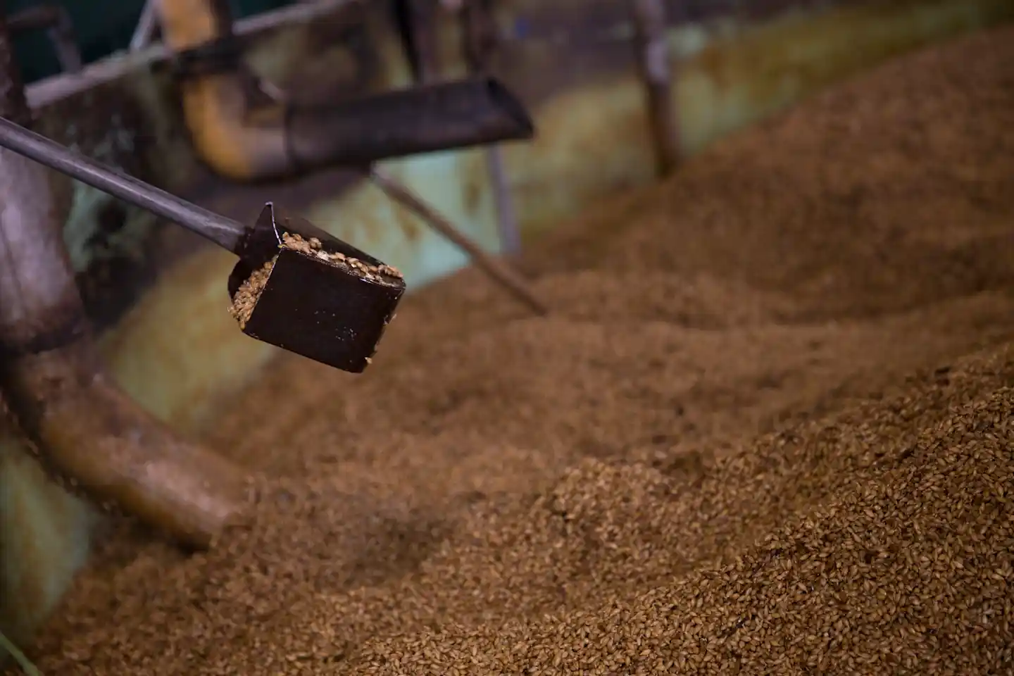 How to Make Whisky | From Field to Dram