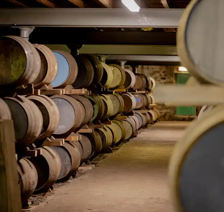 Discover The Singleton | Single Malt Whisky