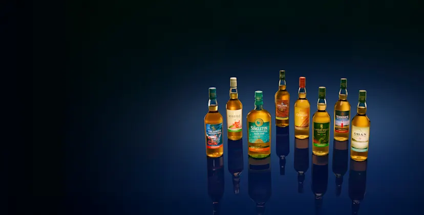 The Beginner’s Guide to Different Whisky Types | Malts GB