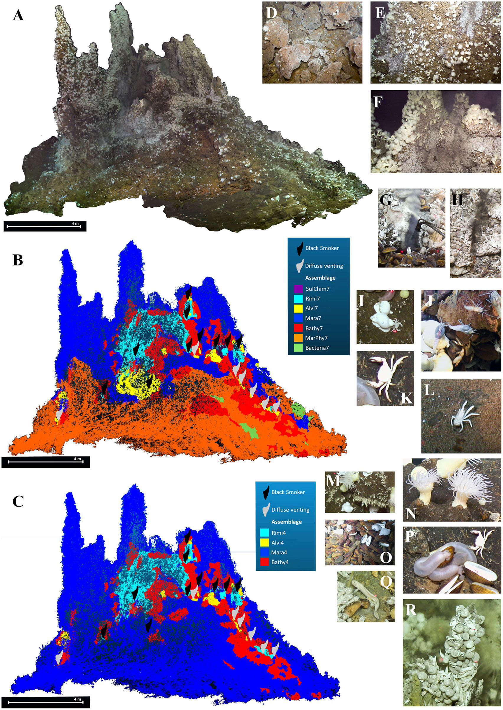 Mapping the seabed with underwater videogrammetry | Pix4D