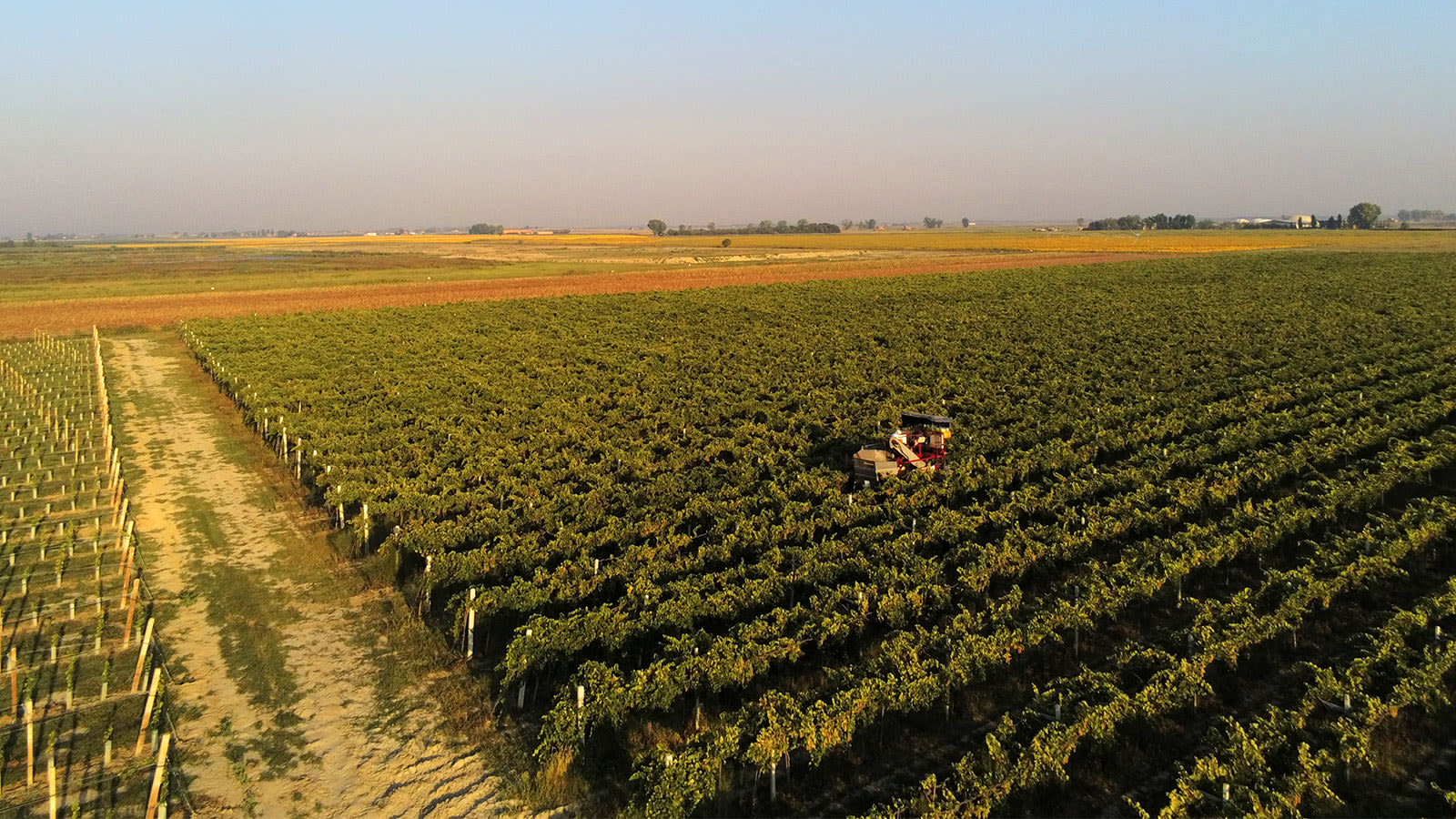 Drone mapping for high value crops and viticulture | Pix4D