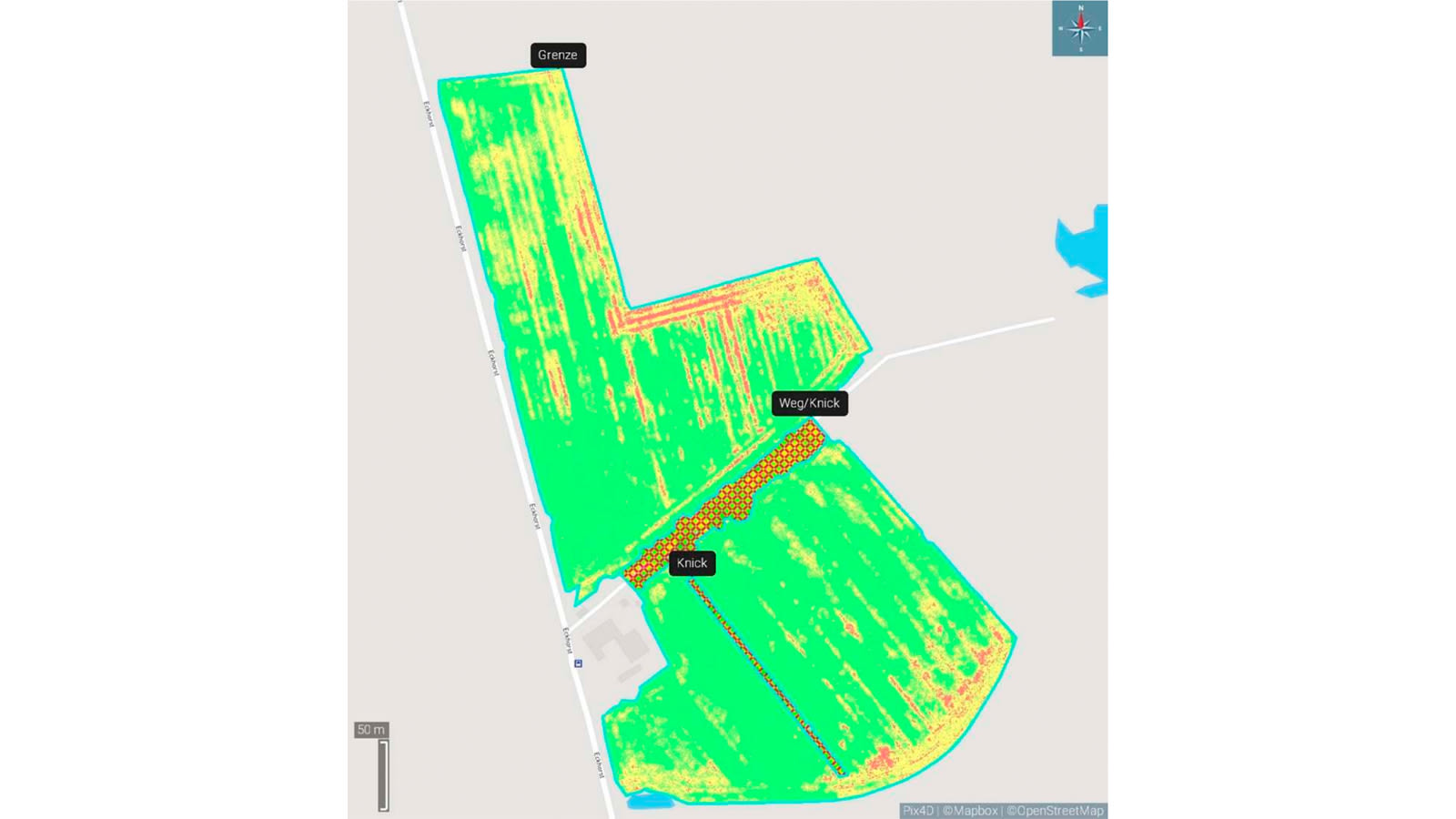 Wildlife damage assessment for crop insurance | Pix4D
