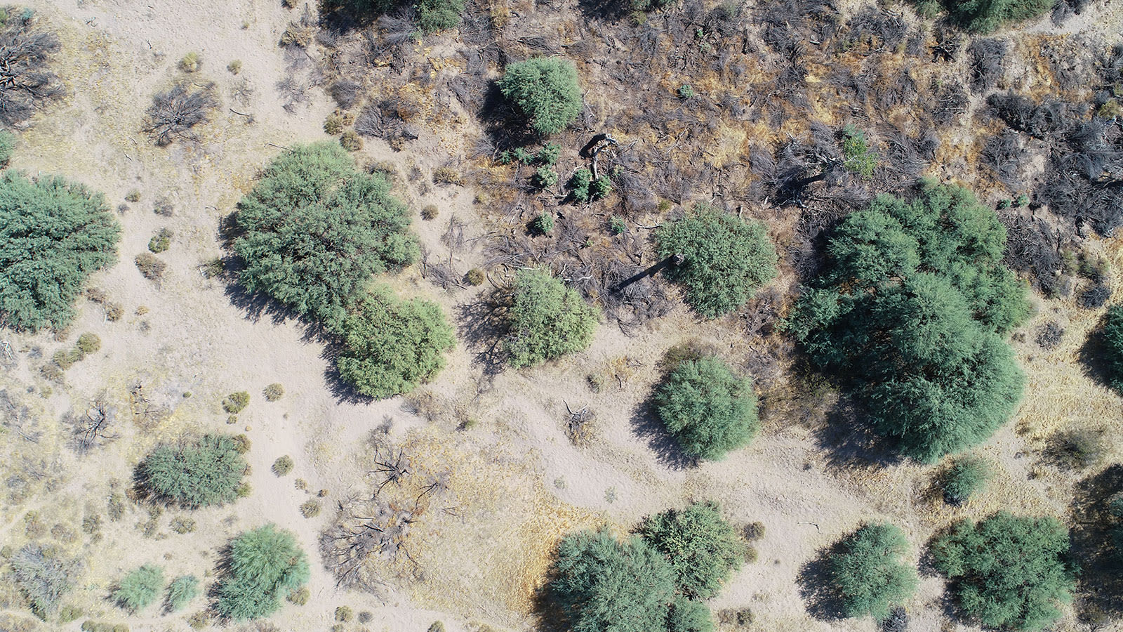 Drones in school: students fighting climate change | Pix4D