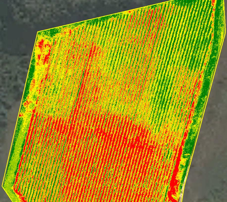Cheers to precision farming: drone mapping a hop field | Pix4D