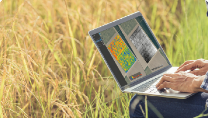 Agricultural drone mapping: crop protection and production | Pix4D