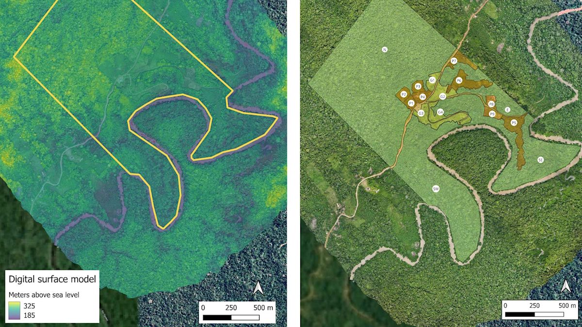 Mapping the Amazon Rainforest with PIX4Dmatic | Pix4D