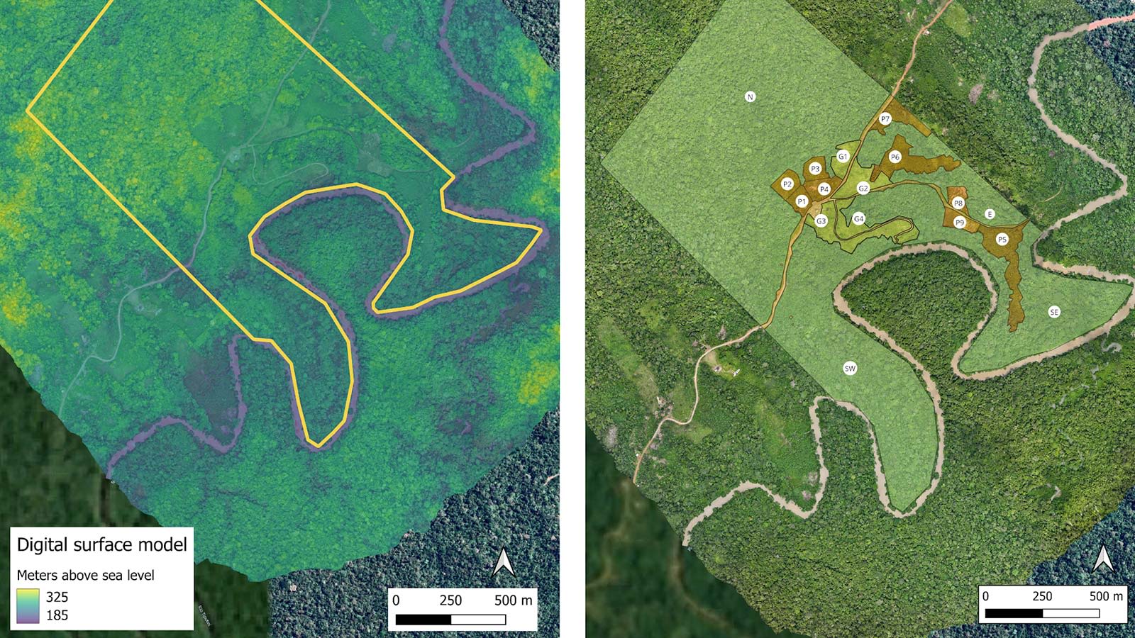 Mapping the Amazon Rainforest with PIX4Dmatic | Pix4D