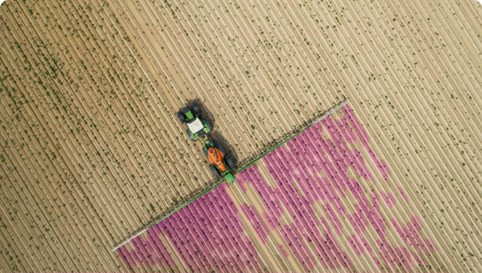 Agricultural drone mapping: crop protection and production | Pix4D