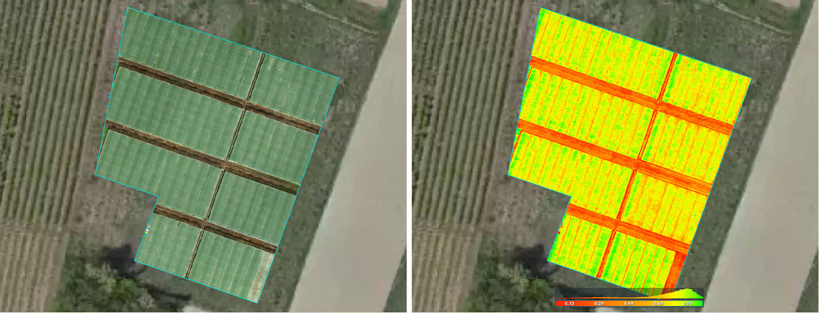 Drone mapping for high value crops and viticulture | Pix4D