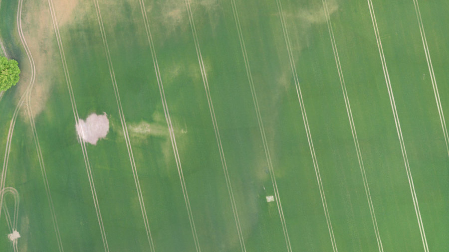 Pix4Dfields: Drone software for agriculture mapping | Pix4D